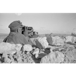 ImagesDéfense - Le maréchal (Generalfeldmarschall) Erwin Rommel ...