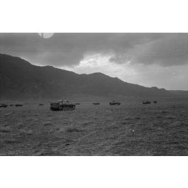 ImagesDéfense - Des chars du Panzer Regiment 8 (Pz.Rgt-8), Pz-III et Pz ...