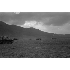 ImagesDéfense - Des chars du Panzer Regiment 8 (Pz.Rgt-8), Pz-III et Pz ...