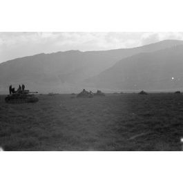 ImagesDéfense - Le Panzer Regiment 8 (Pz.Rgt-8) est déployé dans la ...