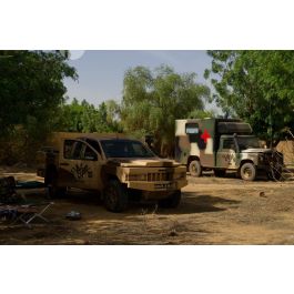 ImagesDéfense - Un pick-up Acmat light tactical vehicle (ALTV) et une ...