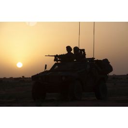 ImagesDéfense - Des marsouins du 3e régiment d'infanterie de marine (3e ...