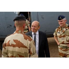 ImagesDéfense - Le colonel Hubert Goupil, adjoint au chef de la brigade ...