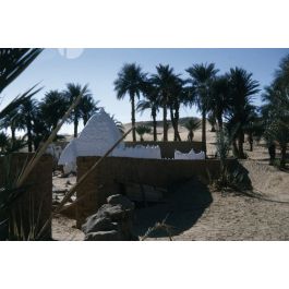 ImagesDéfense - La palmeraie. Fort Flatters. [légende d'origine]