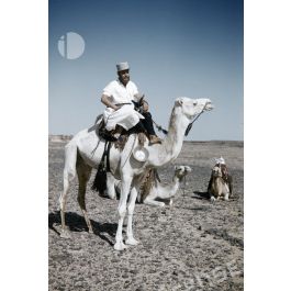 ImagesDéfense - Defendini. [légende d'origine]