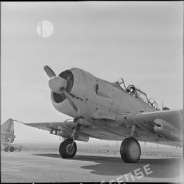 ImagesDéfense - Avions North American T6 au sol.