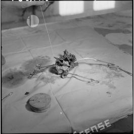 ImagesDéfense - Dissection d'un coeur.
