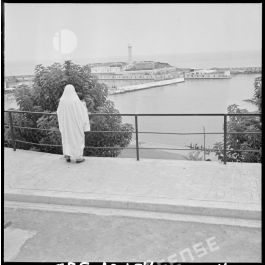 ImagesDéfense - Le port de Cherchell.