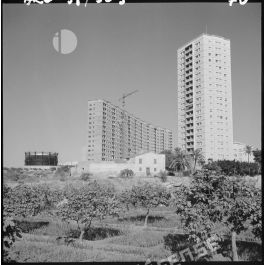 ImagesDéfense - Oran. Construction de nouveaux immeubles.