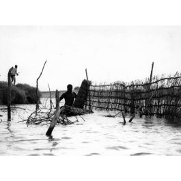 ImagesDéfense - République du Tchad, 1969. Pêche dans le Chari.