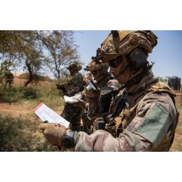 ImagesDéfense - Un élément du groupement de commandos de montagne (GCM ...