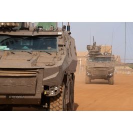 ImagesDéfense - Démonstration de véhicules blindés multi-rôles (VBMR ...