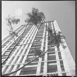 ImagesDéfense - La tour de Diar es Saada, juin 1962. Une belle ...