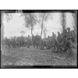 ImagesDéfense - Sur la Cerna. Une batterie mitrailleuse de 37 du 41e ...
