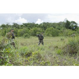 ImagesDéfense - Des légionnaires du 3e régiment étranger d'infanterie ...