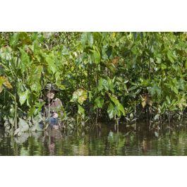 ImagesDéfense - Un marsouin du 9e régiment d'infanterie de marine (9e ...