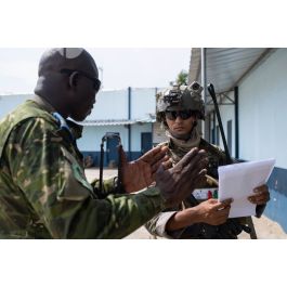 ImagesDéfense - Un marsouin du 43e bataillon d'infanterie de marine ...