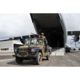 ImagesDéfense - Des marsouins du 43e bataillon d'infanterie de marine ...