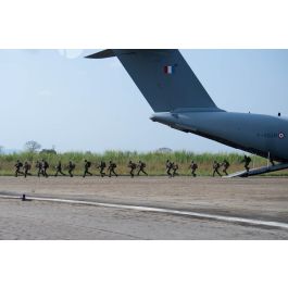 ImagesDéfense - Des marsouins du 43e bataillon d'infanterie de marine ...