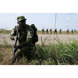 ImagesDéfense - Un soldat ivoirien sécurise la progression des ...