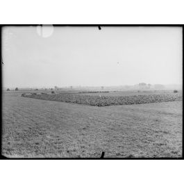 ImagesDéfense - Panorama du plateau de Barcy. [légende d’origine]