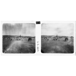 ImagesDéfense - Mon convoi et Kohori dans l'Azaouad. [légende d'origine]