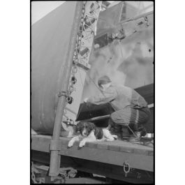 ImagesDéfense - Sur le terrain d'aviation de Gardermoen, la mascotte du ...