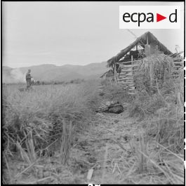 ImagesDéfense - Les parachutistes prennent position dans la vallée au ...