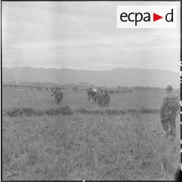 ImagesDéfense - Des parachutistes se regroupent et rejoignent leurs ...