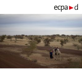 ImagesDéfense - Un nomade mène son dromadaire sur la piste de Goundam ...