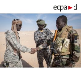 ImagesDéfense - Des chefs de section tchadiens et nigériens font un ...