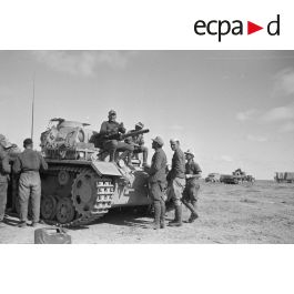 ImagesDéfense - Eléments du Panzer-Regiment 8.