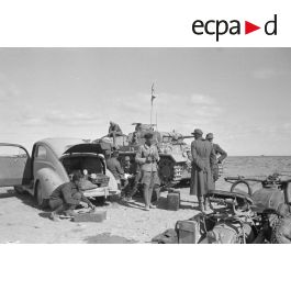 ImagesDéfense - Eléments du Panzer-Regiment 8.