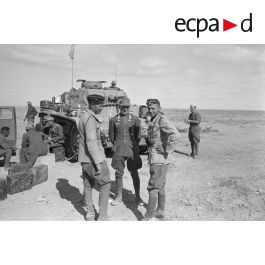 ImagesDéfense - Trois officiers du Panzer-Regiment 8, au centre le ...