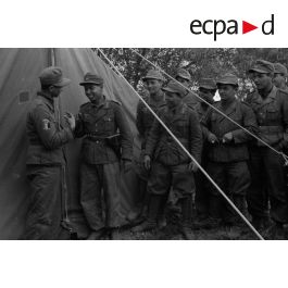 ImagesDéfense - Volontaires de la "Légion Arabe Libre" dans la ...