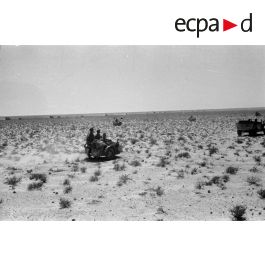 ImagesDéfense - La 15e division blindée allemande (15 Panzer-Division ...