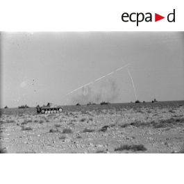 ImagesDéfense - Eléments du Panzer Regiment 8 (Pz.Rgt-8) en formation ...