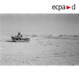 ImagesDéfense - Eléments du Panzer Regiment 8 (Pz.Rgt-8) en formation ...