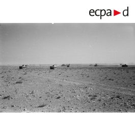 ImagesDéfense - Eléments du Panzer Regiment 8 (Pz.Rgt-8) en formation ...