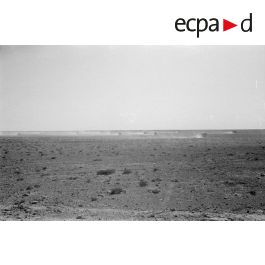 ImagesDéfense - Eléments du Panzer Regiment 8 (Pz.Rgt-8) en formation ...