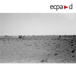 ImagesDéfense - Eléments du Panzer Regiment 8 (Pz.Rgt-8) en formation ...