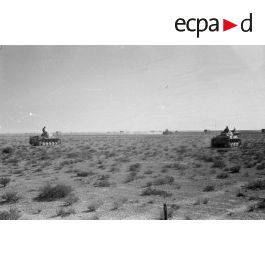 ImagesDéfense - Eléments du Panzer Regiment 8 (Pz.Rgt-8) en formation ...