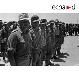 ImagesDéfense - Les hommes au Schützen-Regiment 104, lors d'une inspection du général Erwin Rommel.