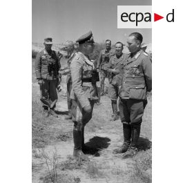 ImagesDéfense - Le maréchal (Generalfeldmarschall) Erwin Rommel en ...