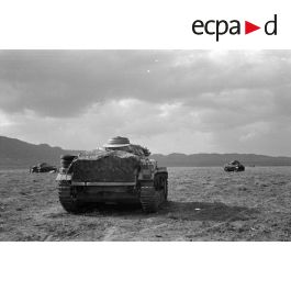 ImagesDéfense - Des chars du Panzer Regiment 8 (Pz.Rgt-8), Pz-III et Pz ...