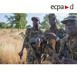 ImagesDéfense - Des soldats maliens observent les positions ennemies ...