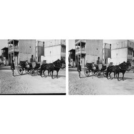 ImagesDéfense - 137. Visite de la ville arabe, notre drogman. [légende ...