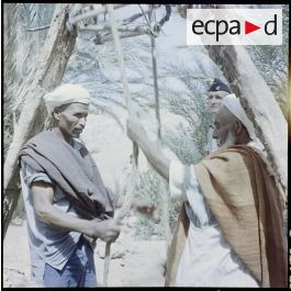 ImagesDéfense - Groupe de nomades se servant d'un puits dans la région ...