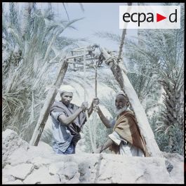 ImagesDéfense - Groupe de nomades se servant d'un puits dans la région ...