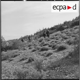 ImagesDéfense - Opération Saïda n°1. Des soldats en opération.